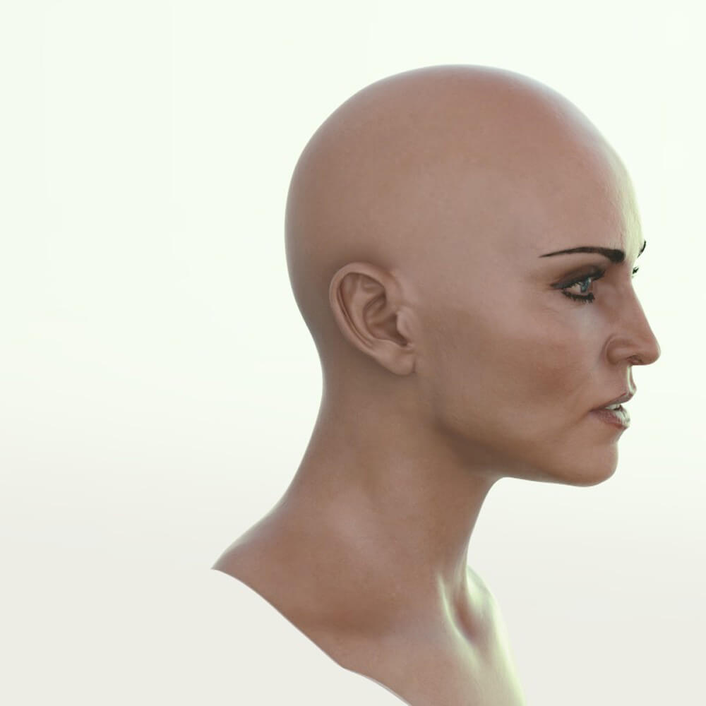 3D Model Madonna Singer Head by vefilanna