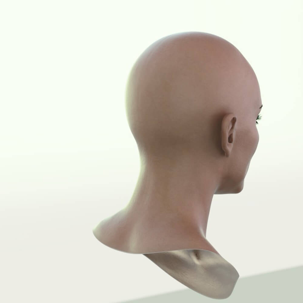 3D Model Madonna Singer Head by vefilanna