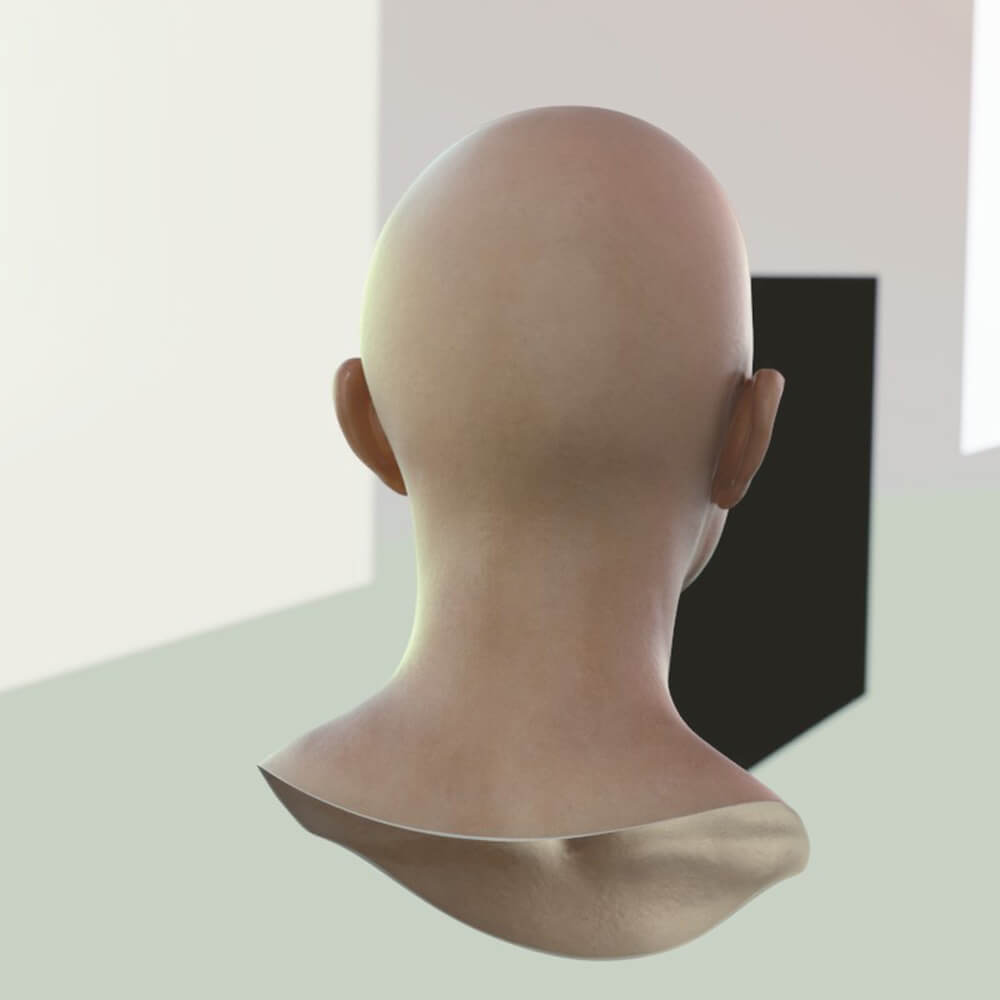 3D Model Madonna Singer Head by vefilanna