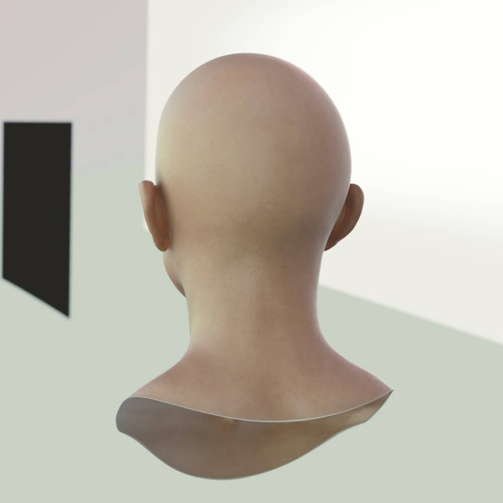 Madonna Singer Head - 3D Model by vefilanna