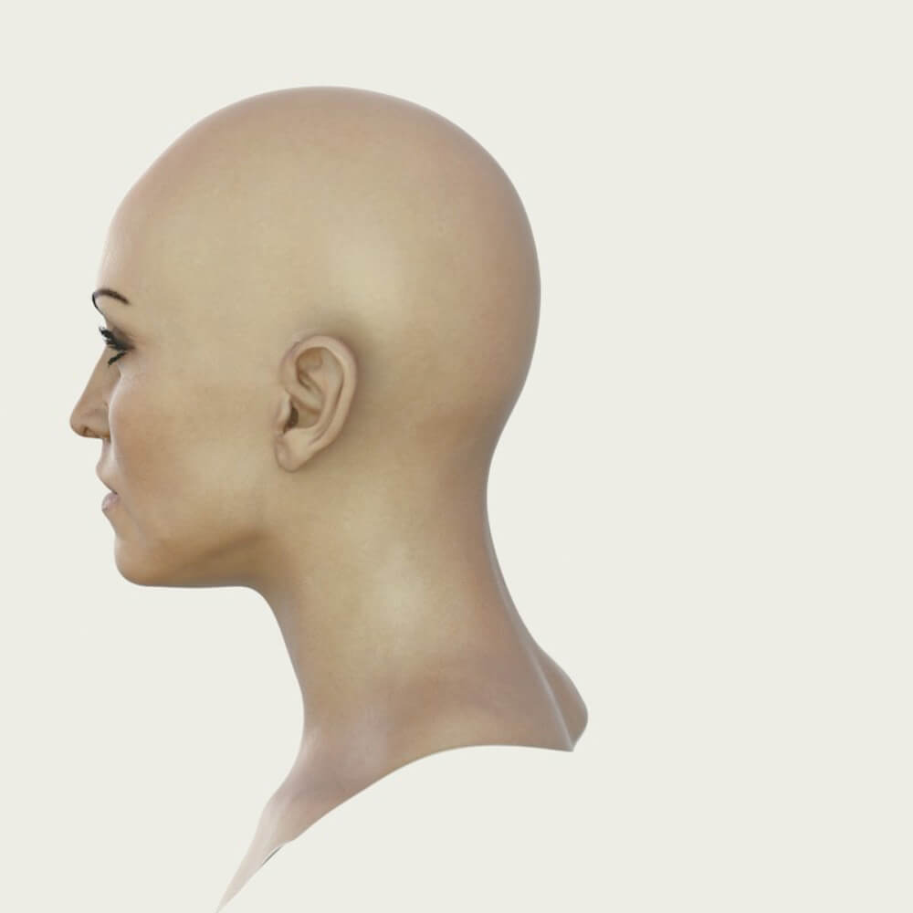 3D Model Madonna Singer Head by vefilanna