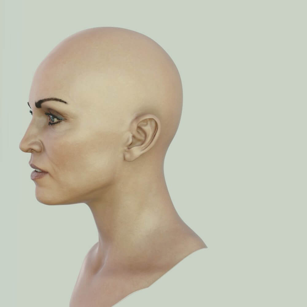 3D Model Madonna Singer Head by vefilanna