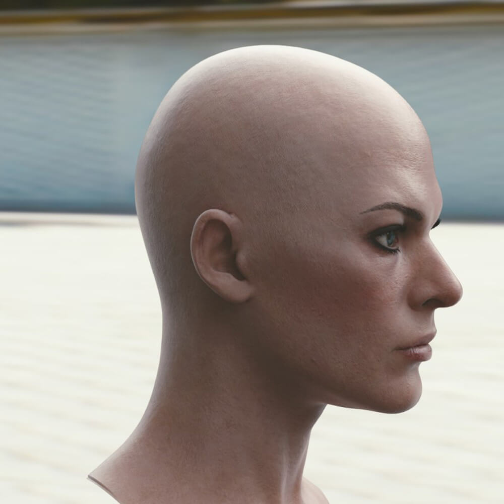 Milla Jovovich Head V1 - 3D Model by vefilanna