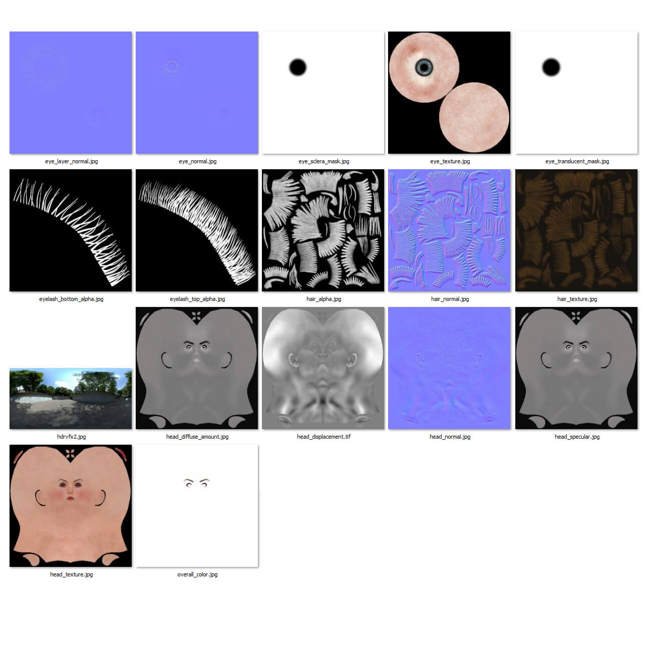 Milla Jovovich Head V1 - 3D Model by vefilanna