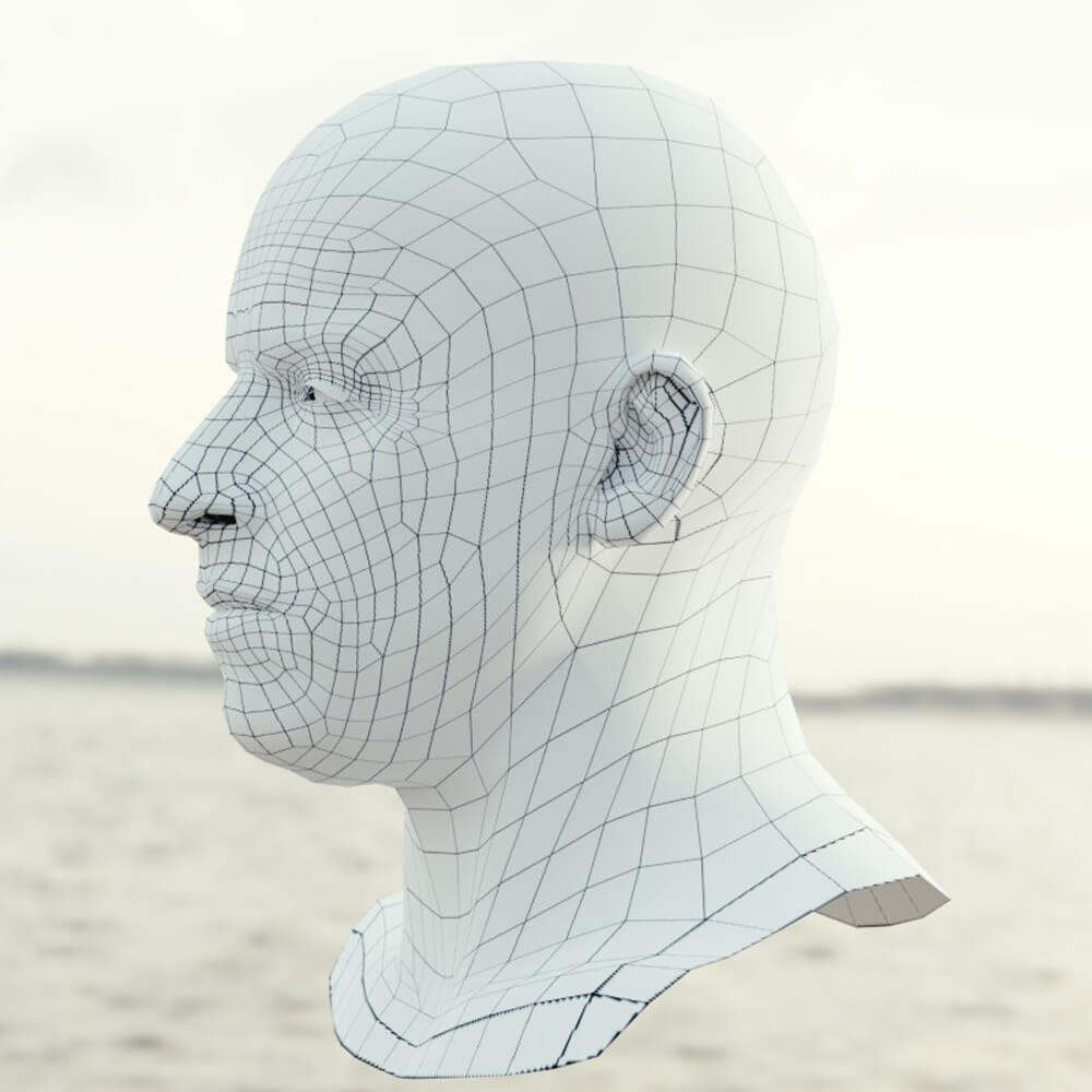 3D Model of Vin Diesel Head by vefilanna