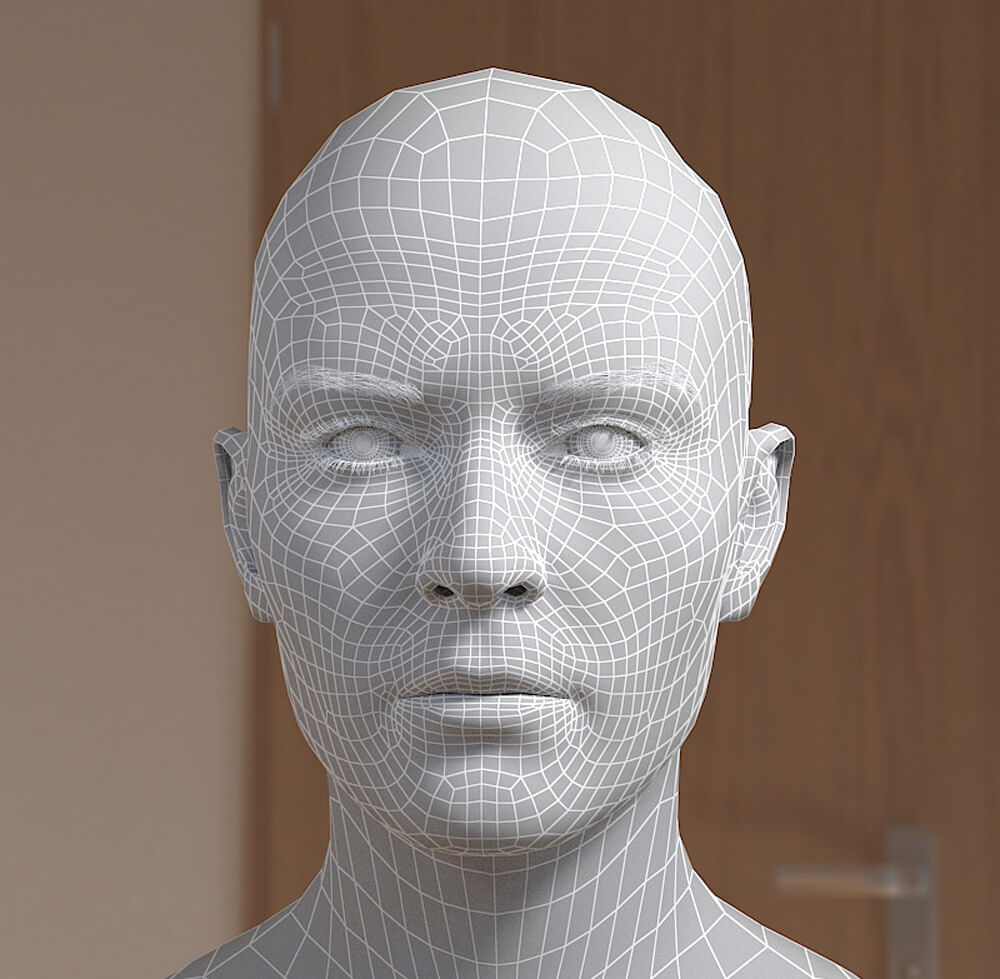 Woman Head V2 - 3D Model by vefilanna