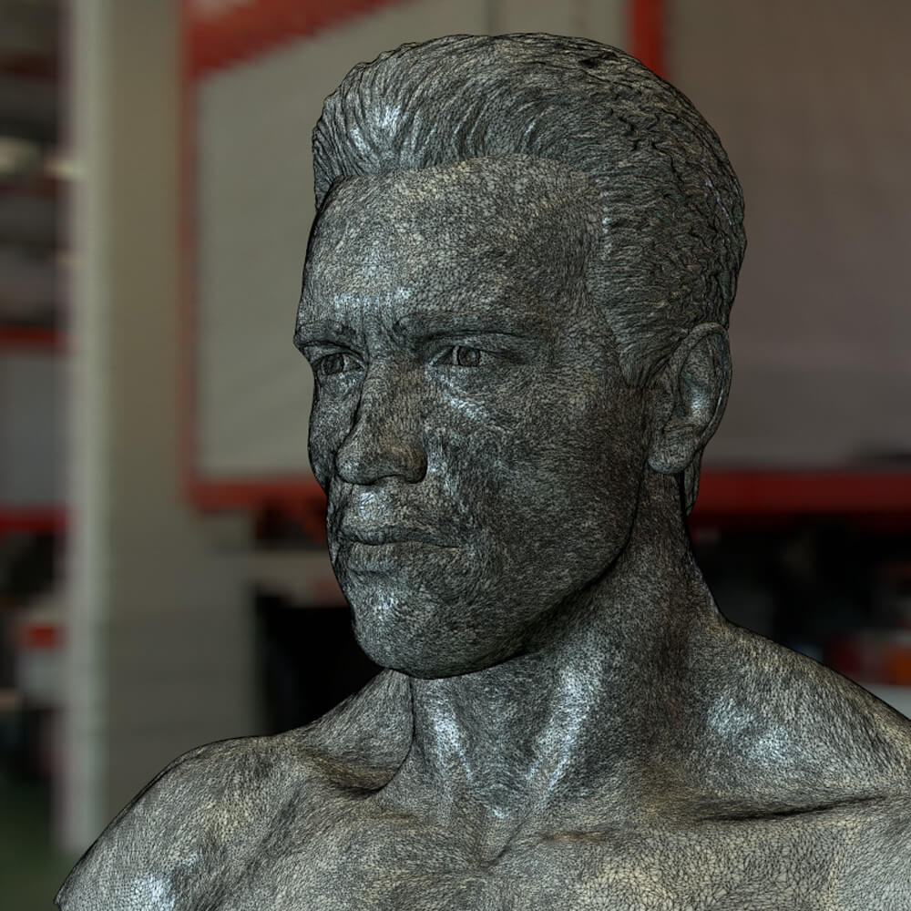 3D Printable Model Arnold Schwarzenegger by vefilanna