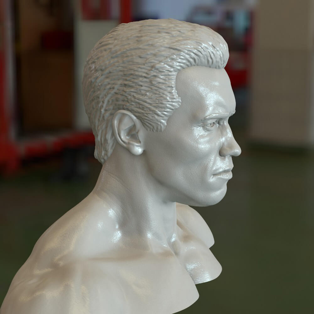 Arnold Schwarzenegger Bust - Printable 3D Model by vefilanna