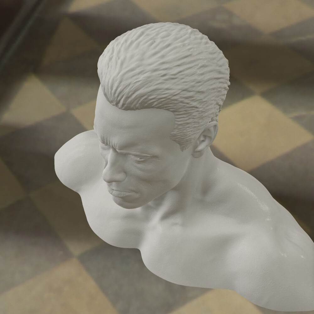 Arnold Schwarzenegger Bust - Printable 3D Model by vefilanna