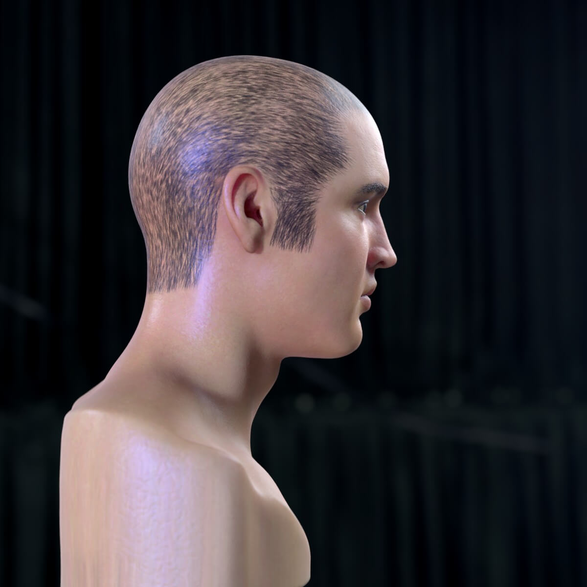 Elvis Presley - Printable 3D Model by vefilanna