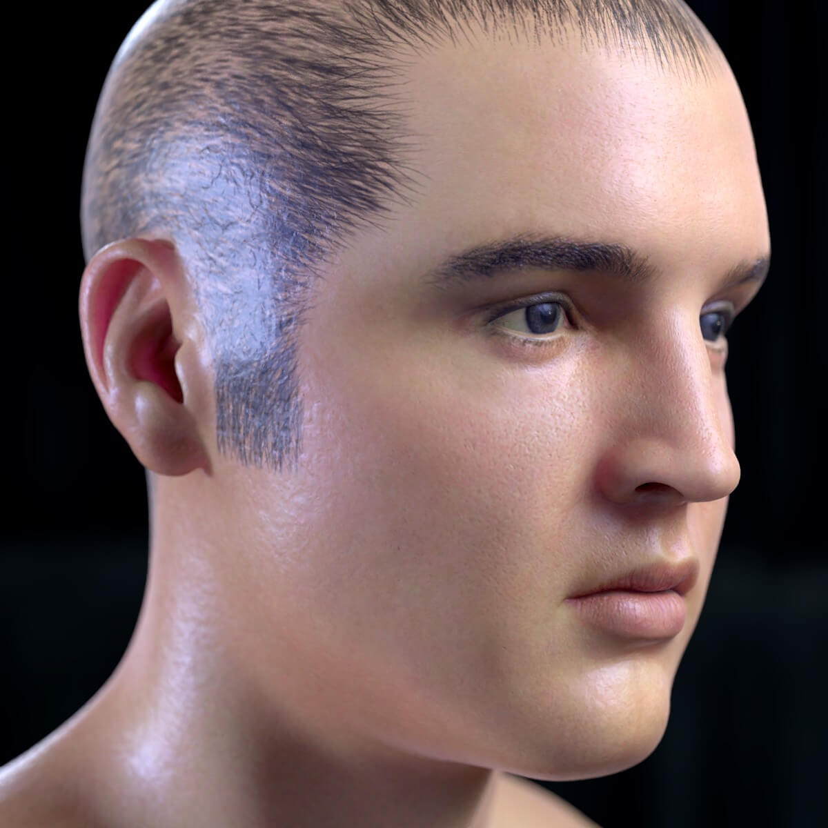 Elvis Presley - Printable 3D Model by vefilanna