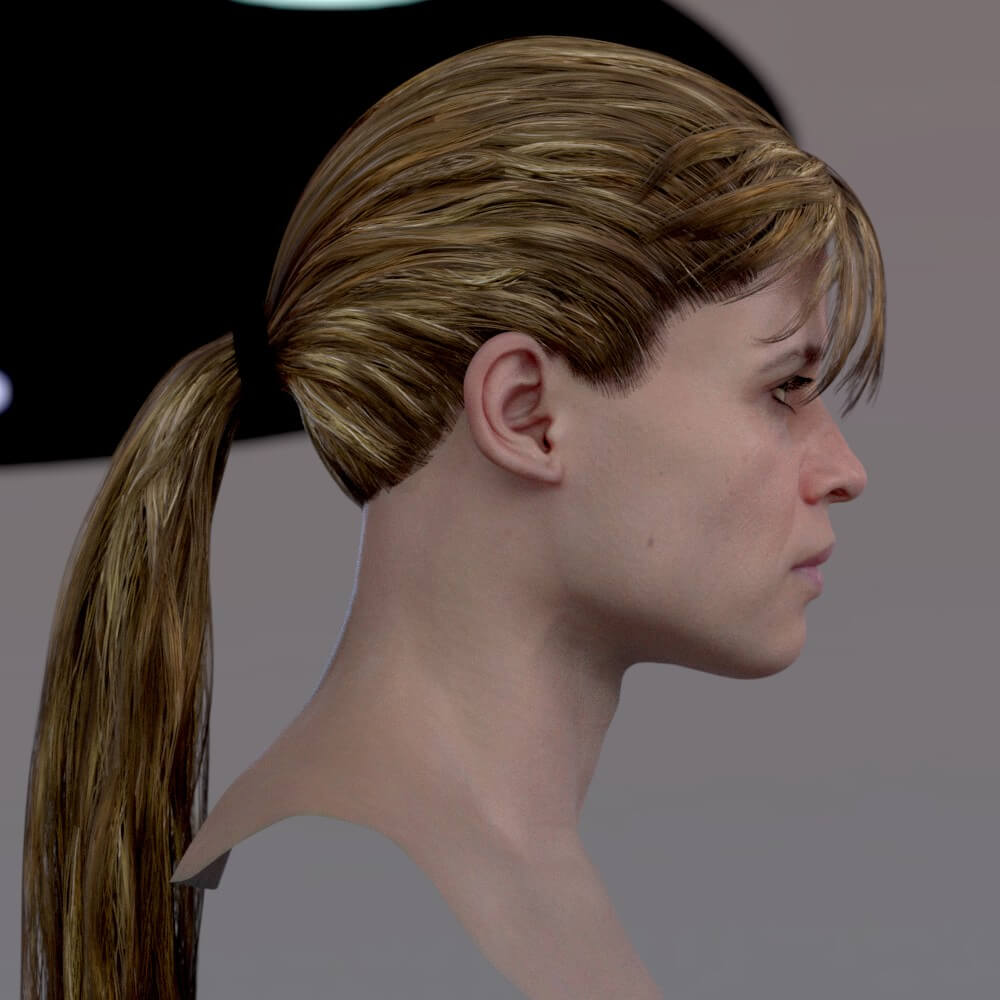 3D Model Sarah Connor Linda Hamilton by vefilanna