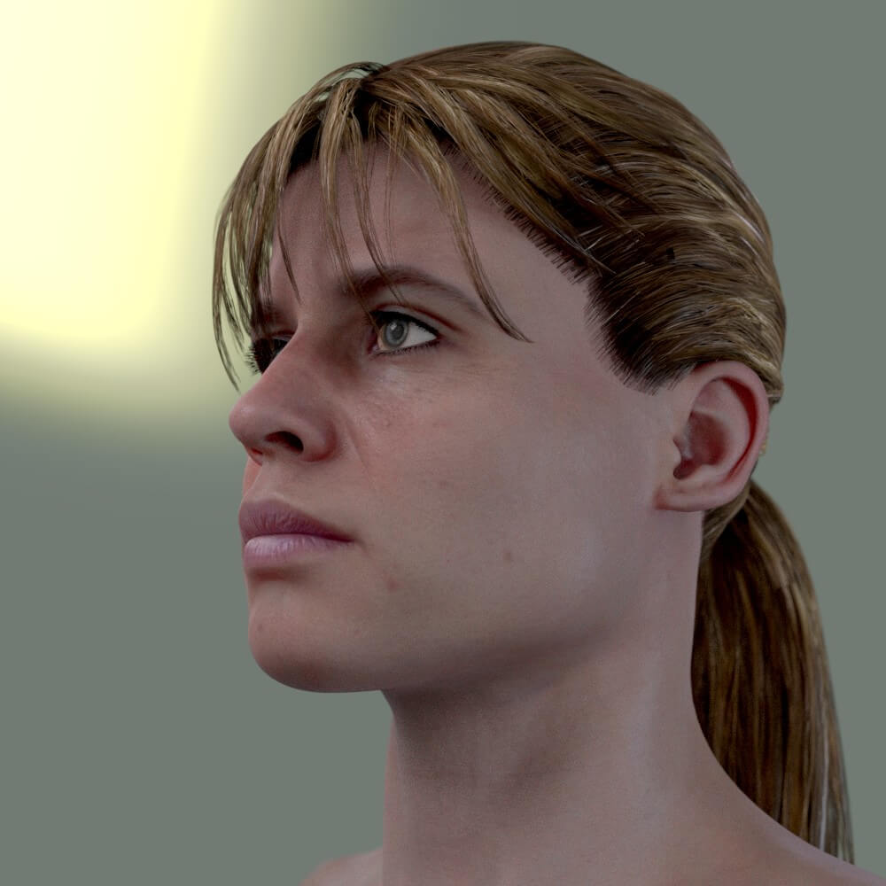 Sarah Connor Linda Hamilton Head - 3D Model by vefilanna