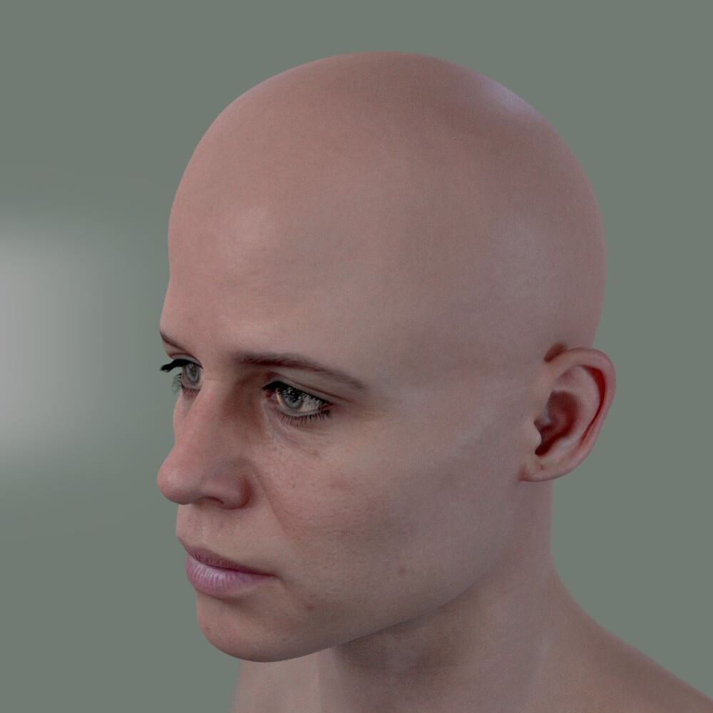 3D Model Sarah Connor Linda Hamilton by vefilanna