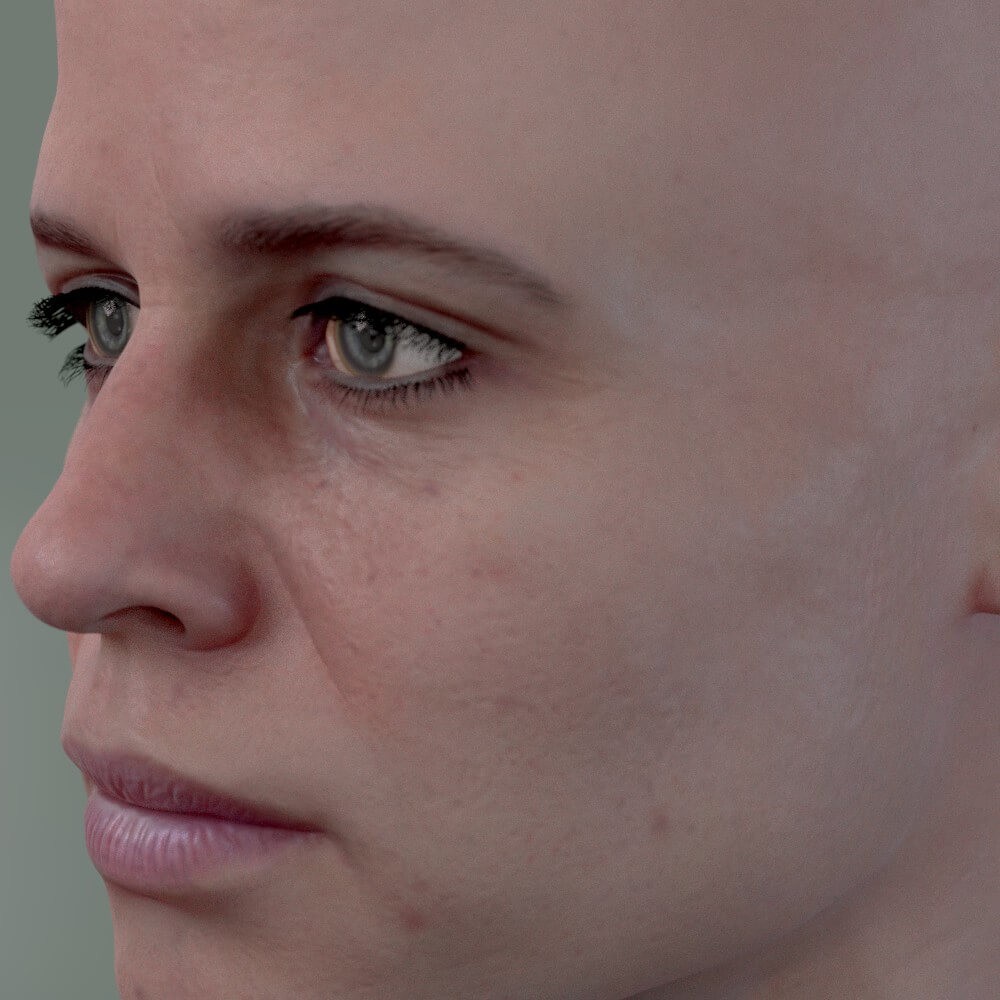 3D Model Sarah Connor Linda Hamilton by vefilanna