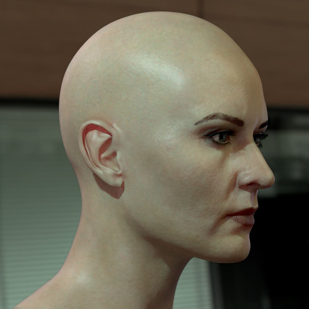 Woman Head v1 - 3D Model by vefilanna