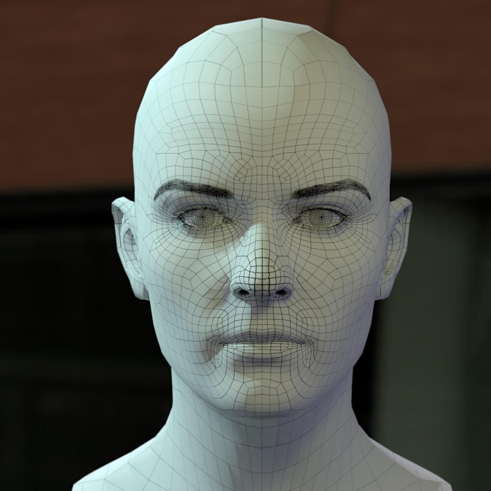 Woman Head v1 - 3D Model by vefilanna