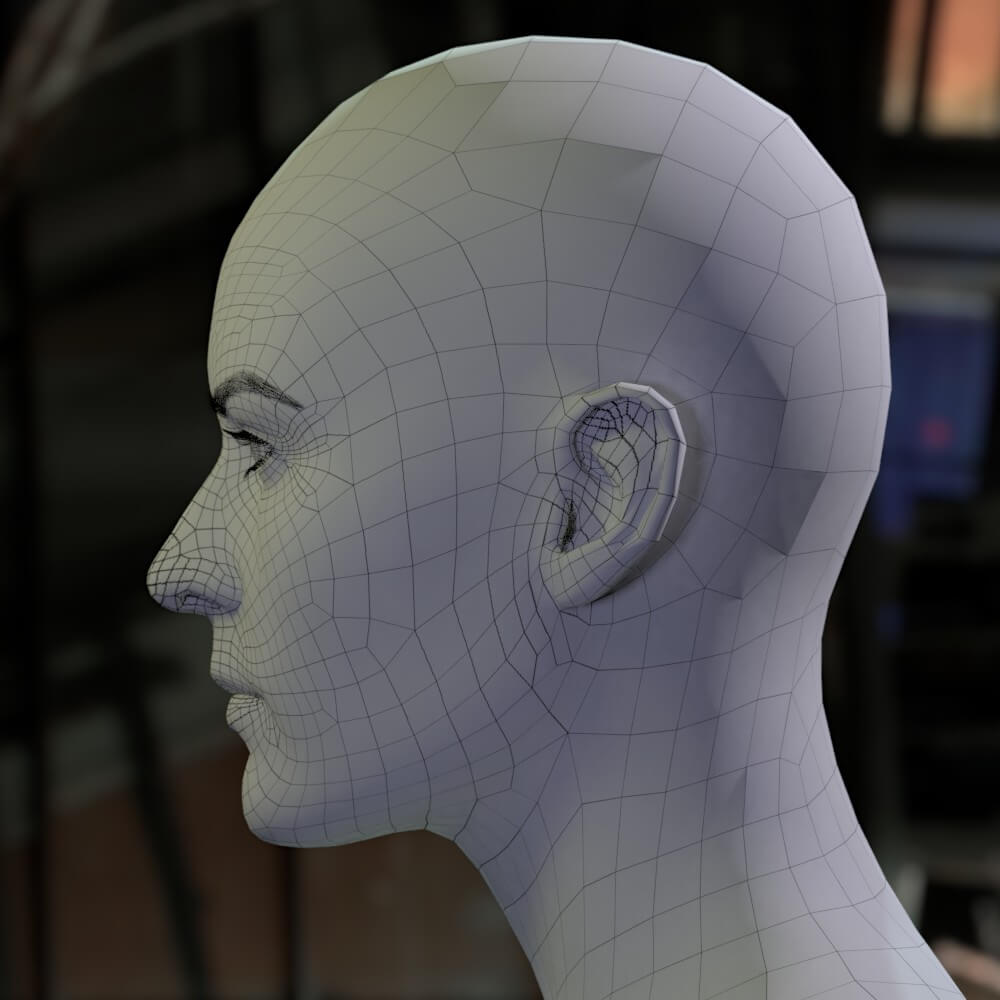 Woman Head v1 - 3D Model by vefilanna