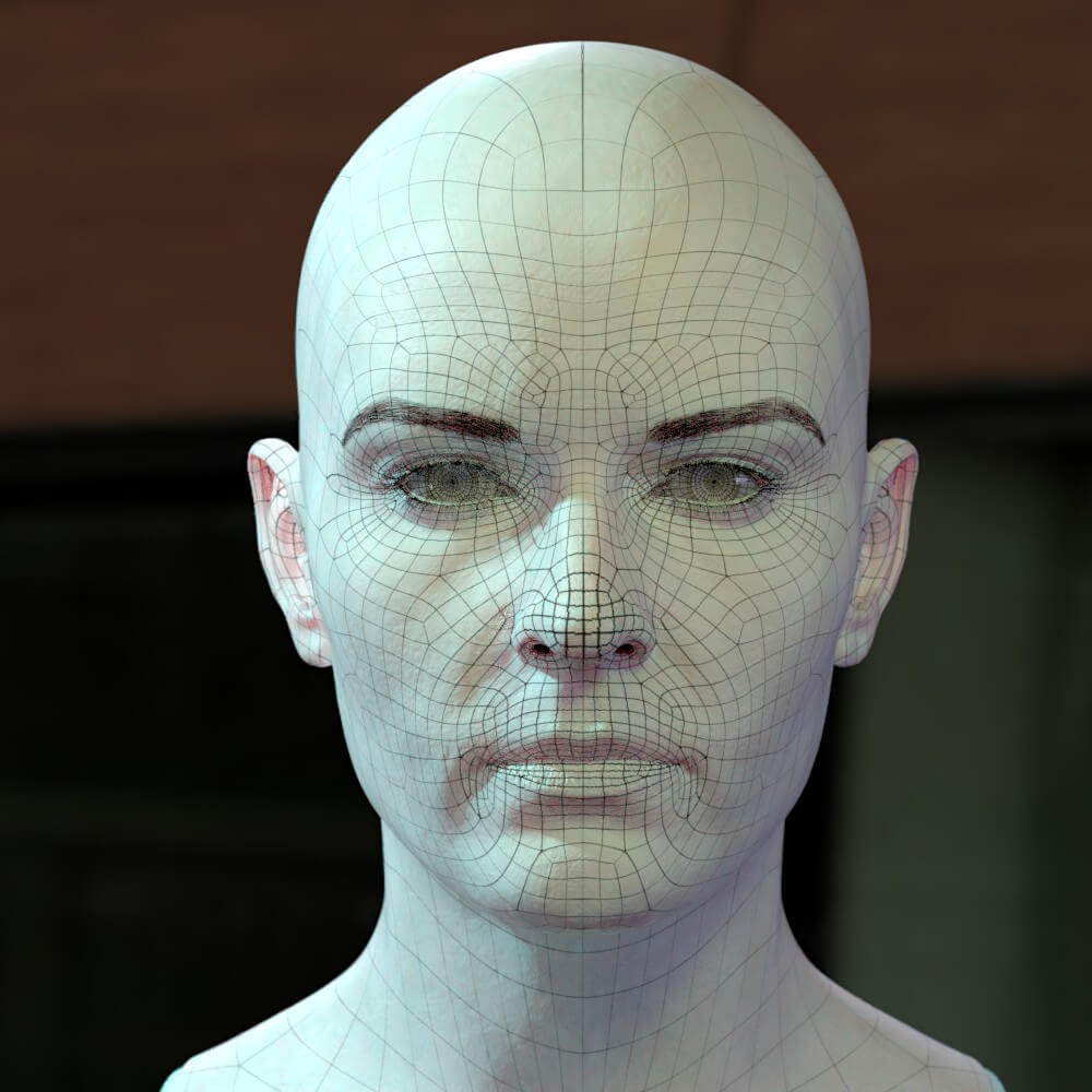 Woman Head v1 - 3D Model by vefilanna