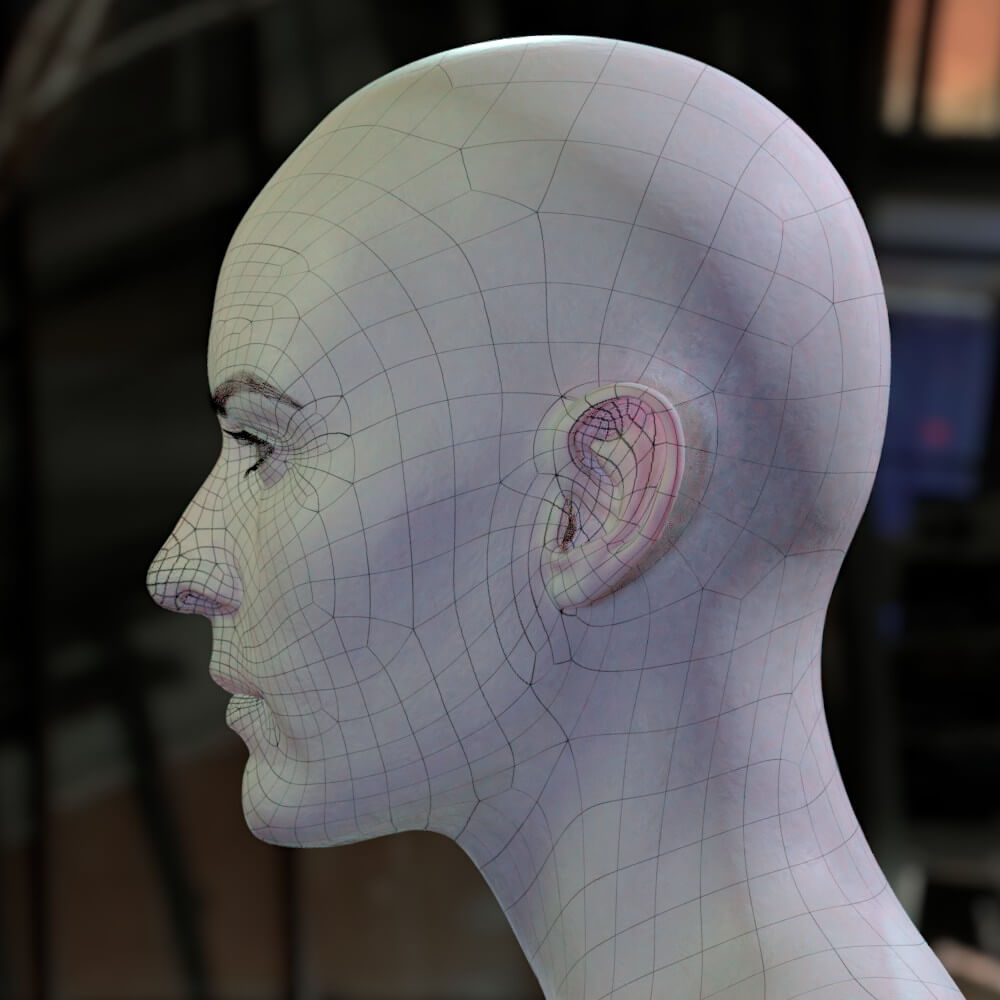 Woman Head v1 - 3D Model by vefilanna