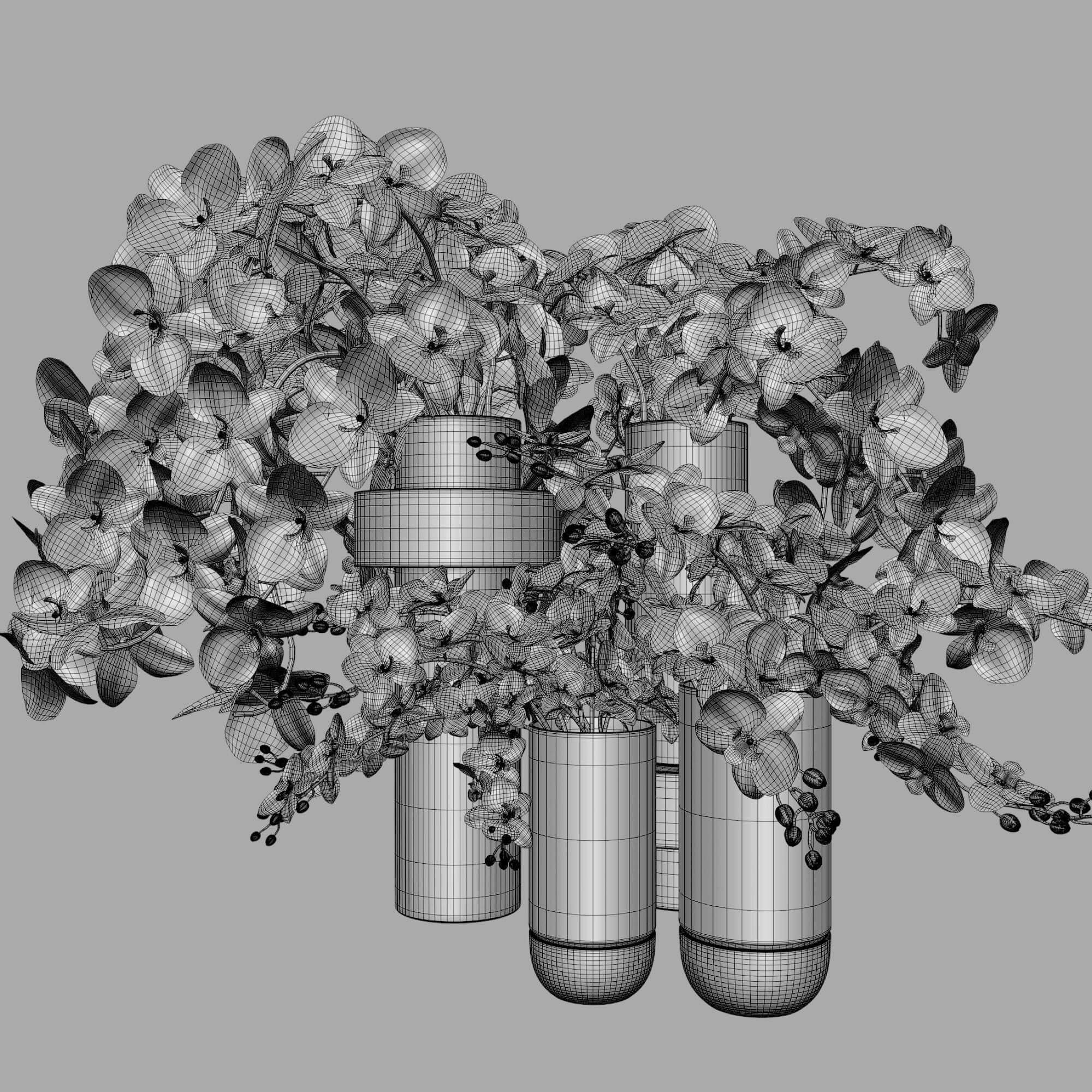 Flower Set 3 Orchids - 3D Model by Verso Faraon