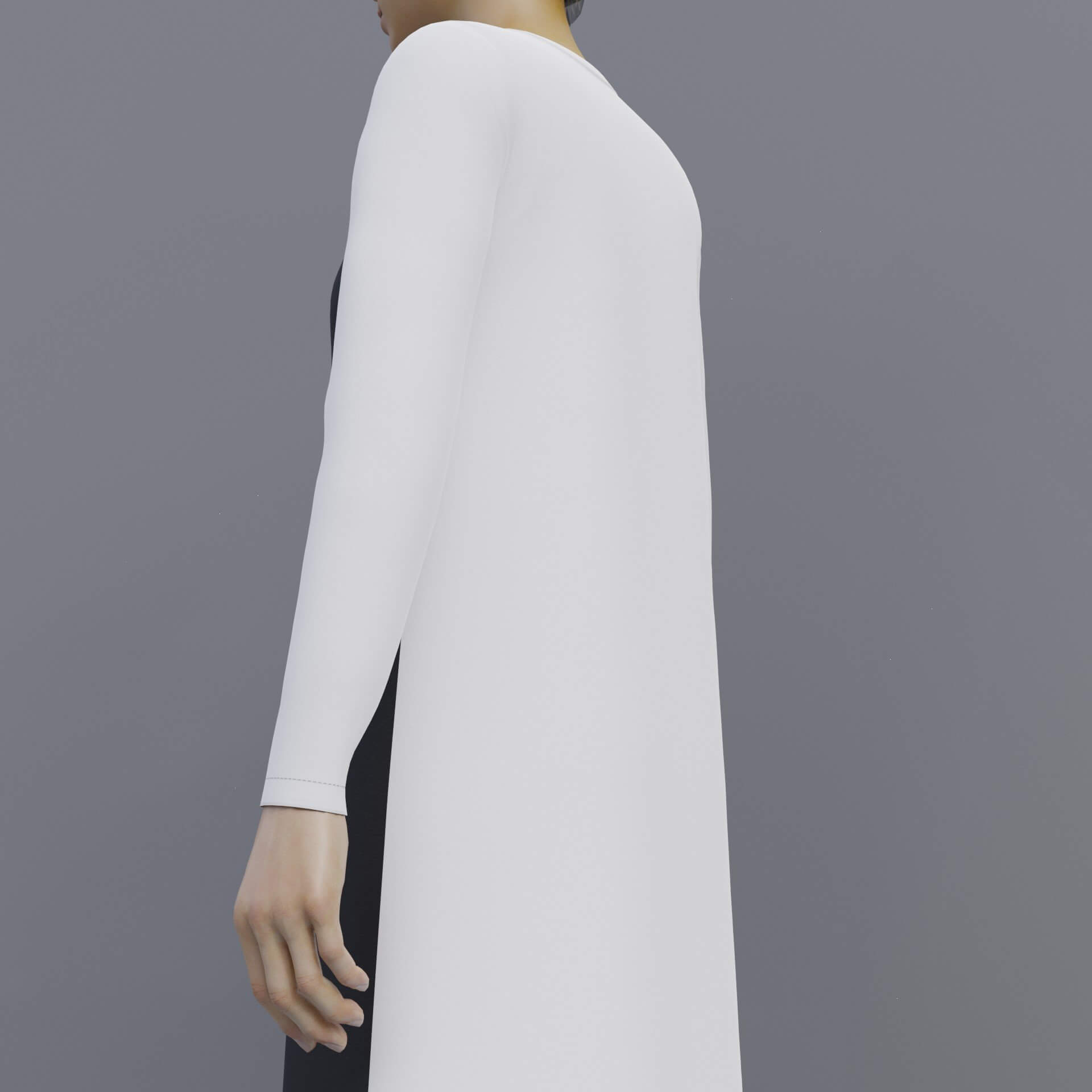 Sheath Female Dress - 2 Textures 3D Model by vicky180