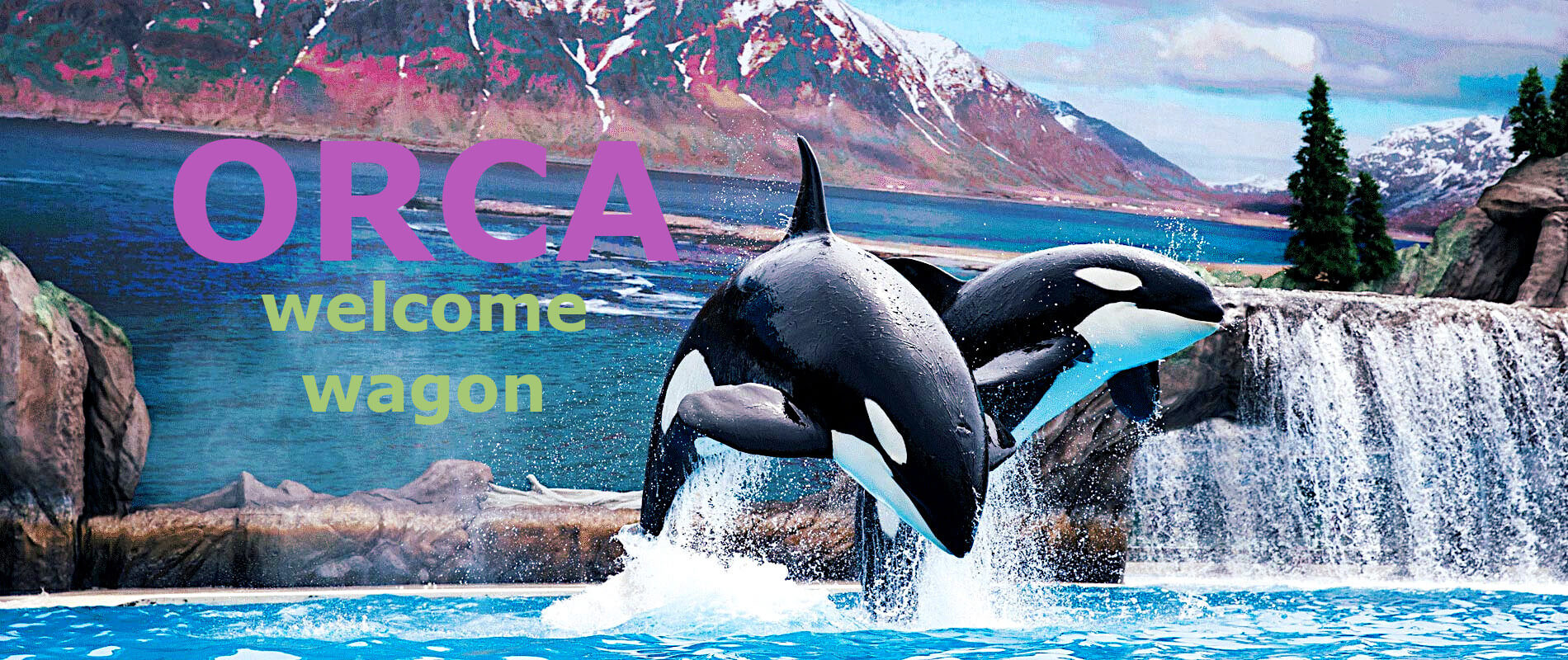 Orca Welcome Wagon 3D Render, Digital Art by Vince