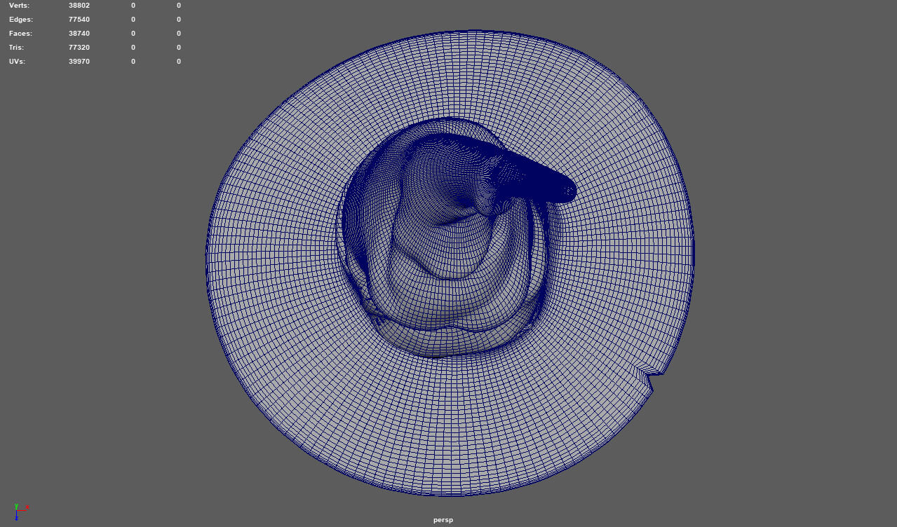 Sorting Hat Harry Potter - 3D Model by ViperJr3D