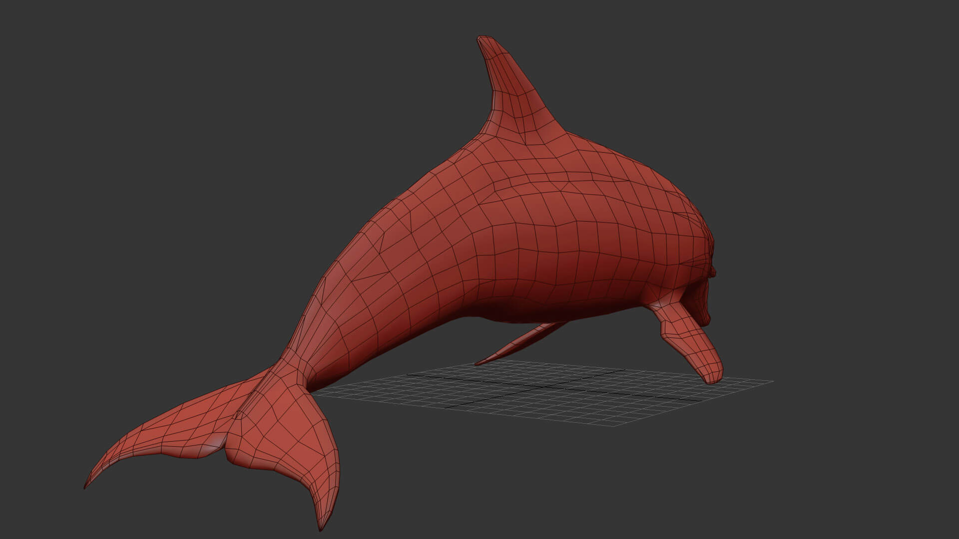 3D Animated Dolphin by Virtual creator