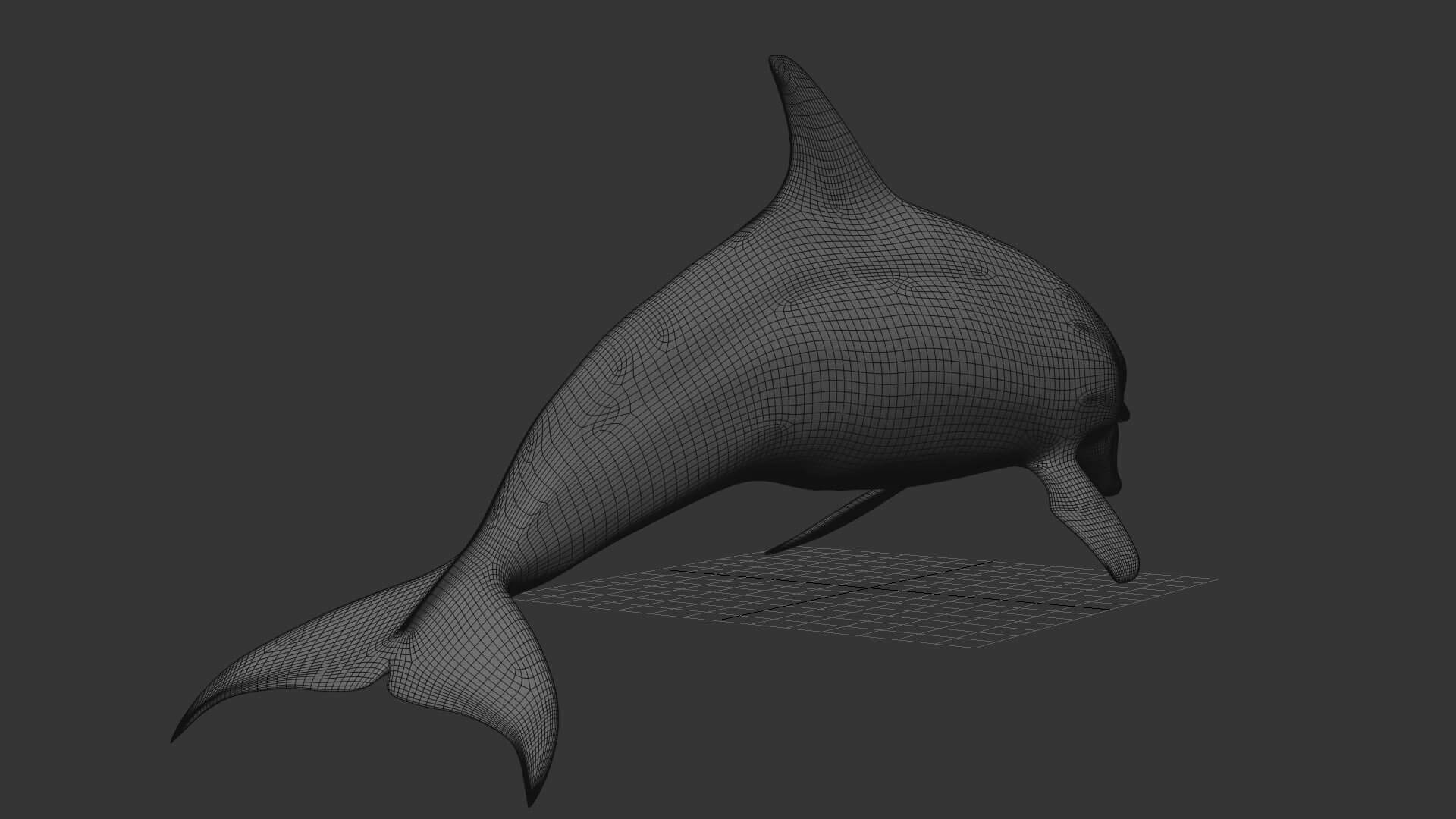 3D Animated Dolphin by Virtual creator