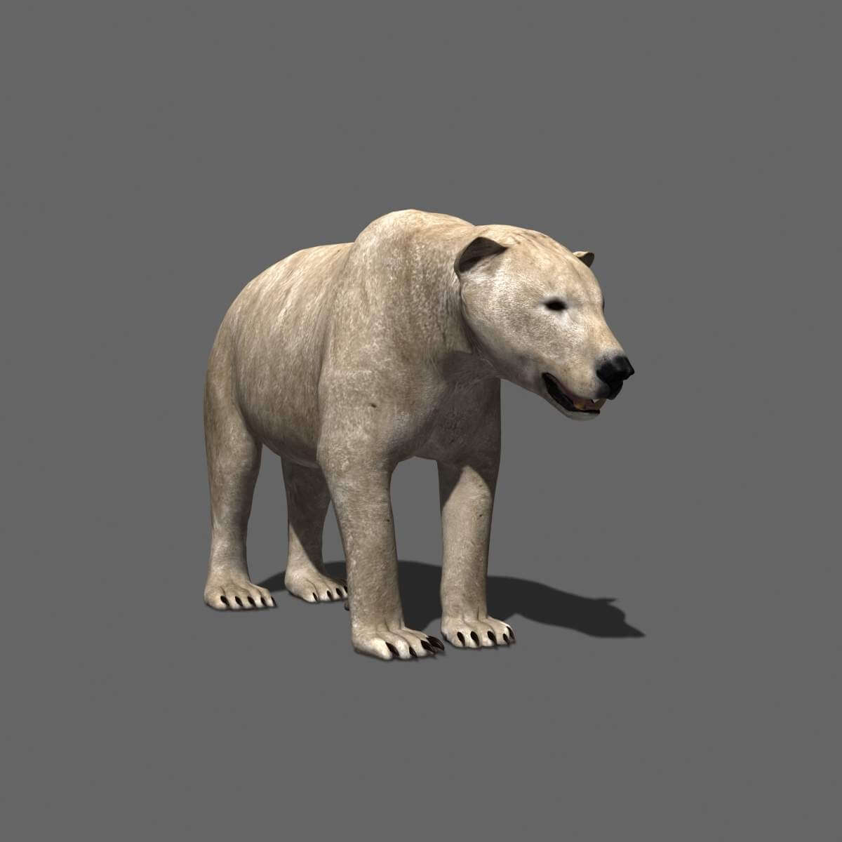Polar Bear - 3D Model by Virtual creator