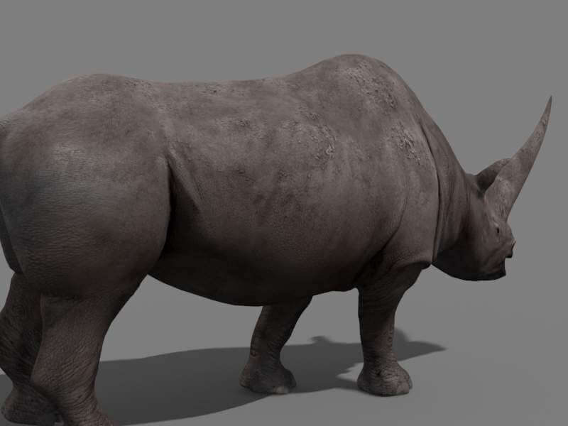 Wooly Elasmotherium Rhino - 3D Model by Virtual creator