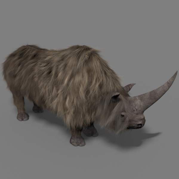 Wooly Elasmotherium Rhino - 3D Model by Virtual creator