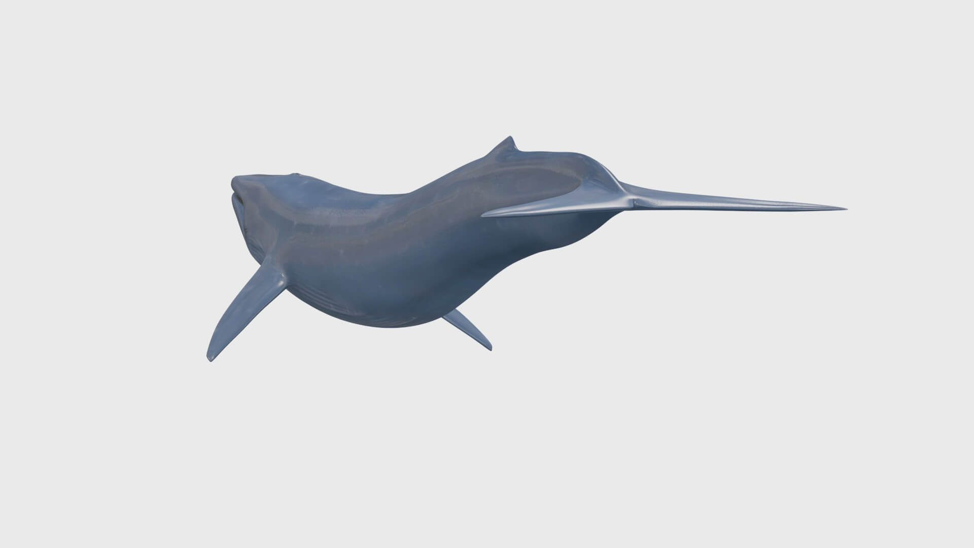 Accurate Blue Whale - 3D Animated by Virtual creator