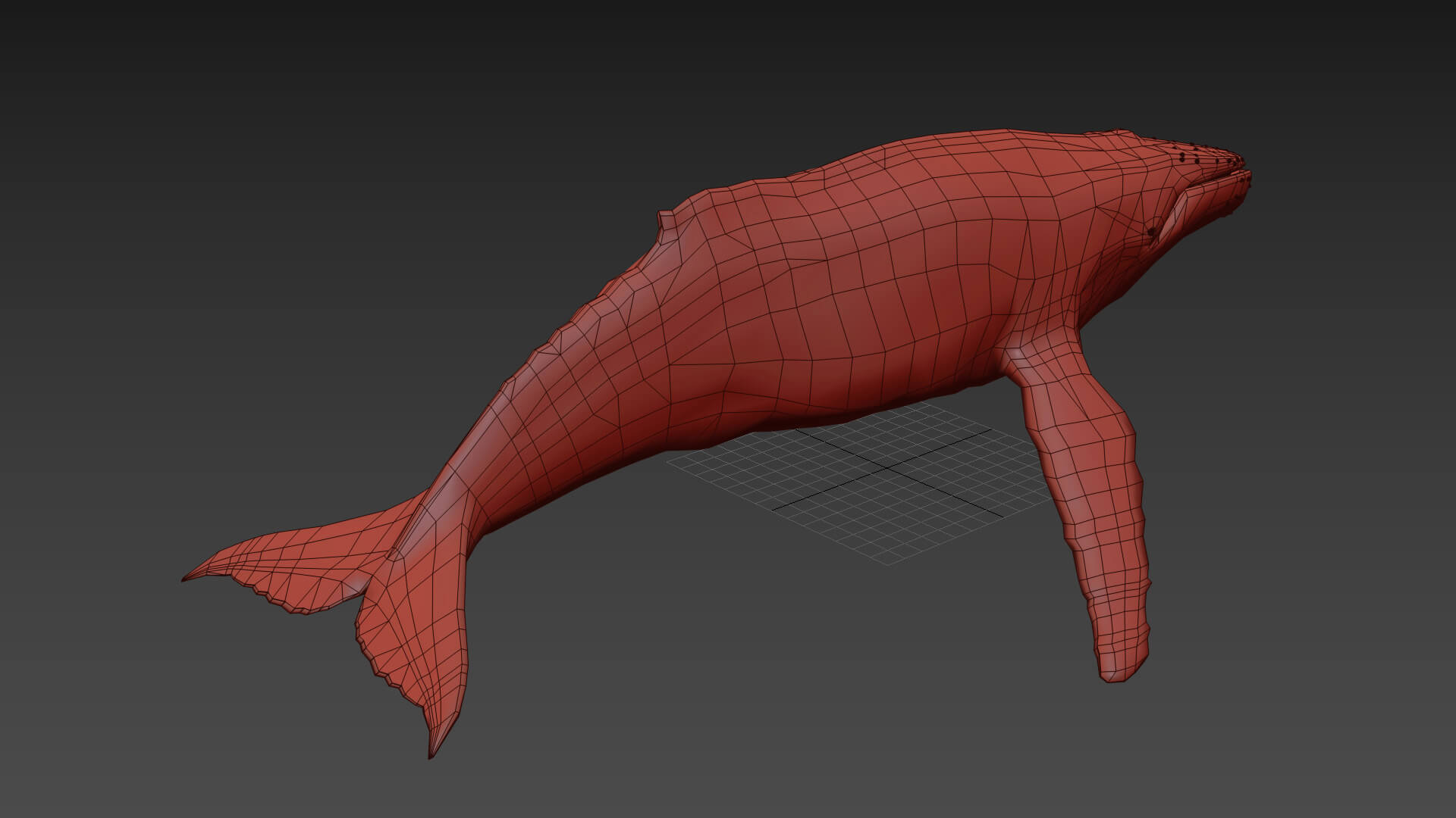 Accurate Humpback Whale 8K - 3D Animated by Virtual creator