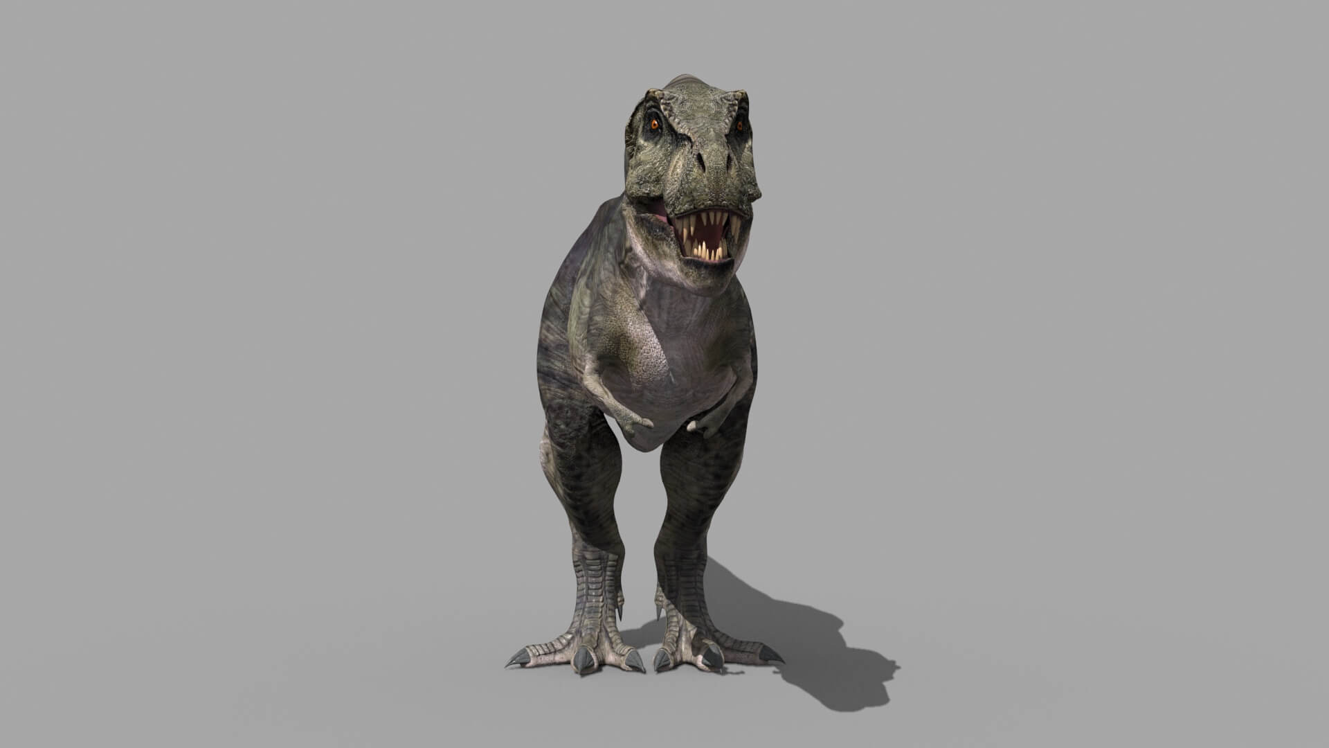 Accurate T Rex 8K - Fully Animated 3D Model by Virtual creator