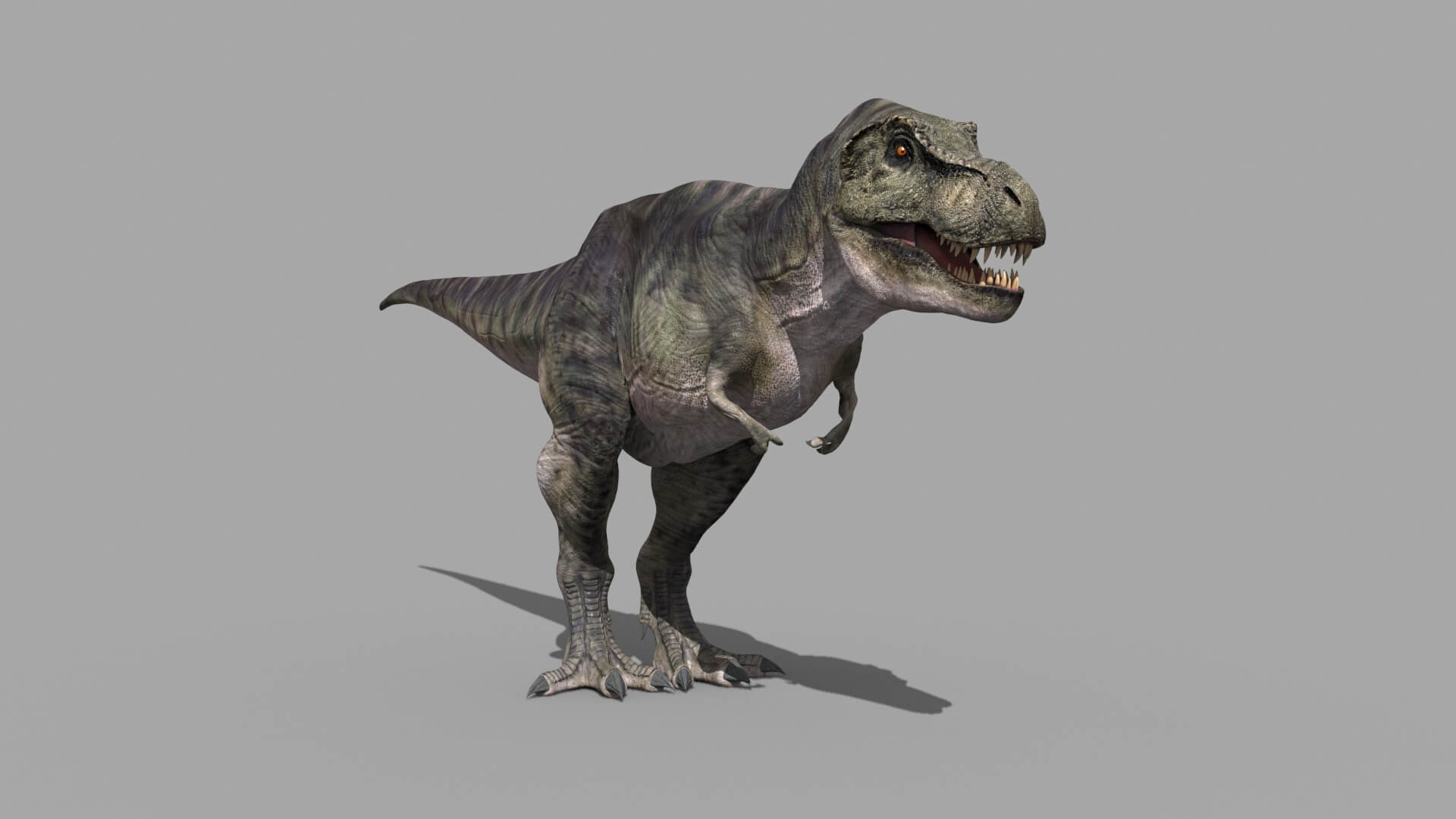 Accurate T Rex 8K - Fully Animated 3D Model by Virtual creator