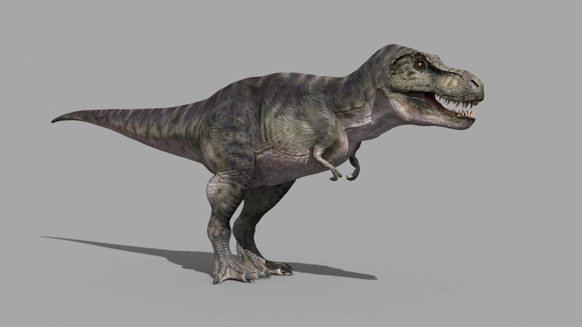 Accurate T Rex 8K - Fully Animated 3D Model by Virtual creator