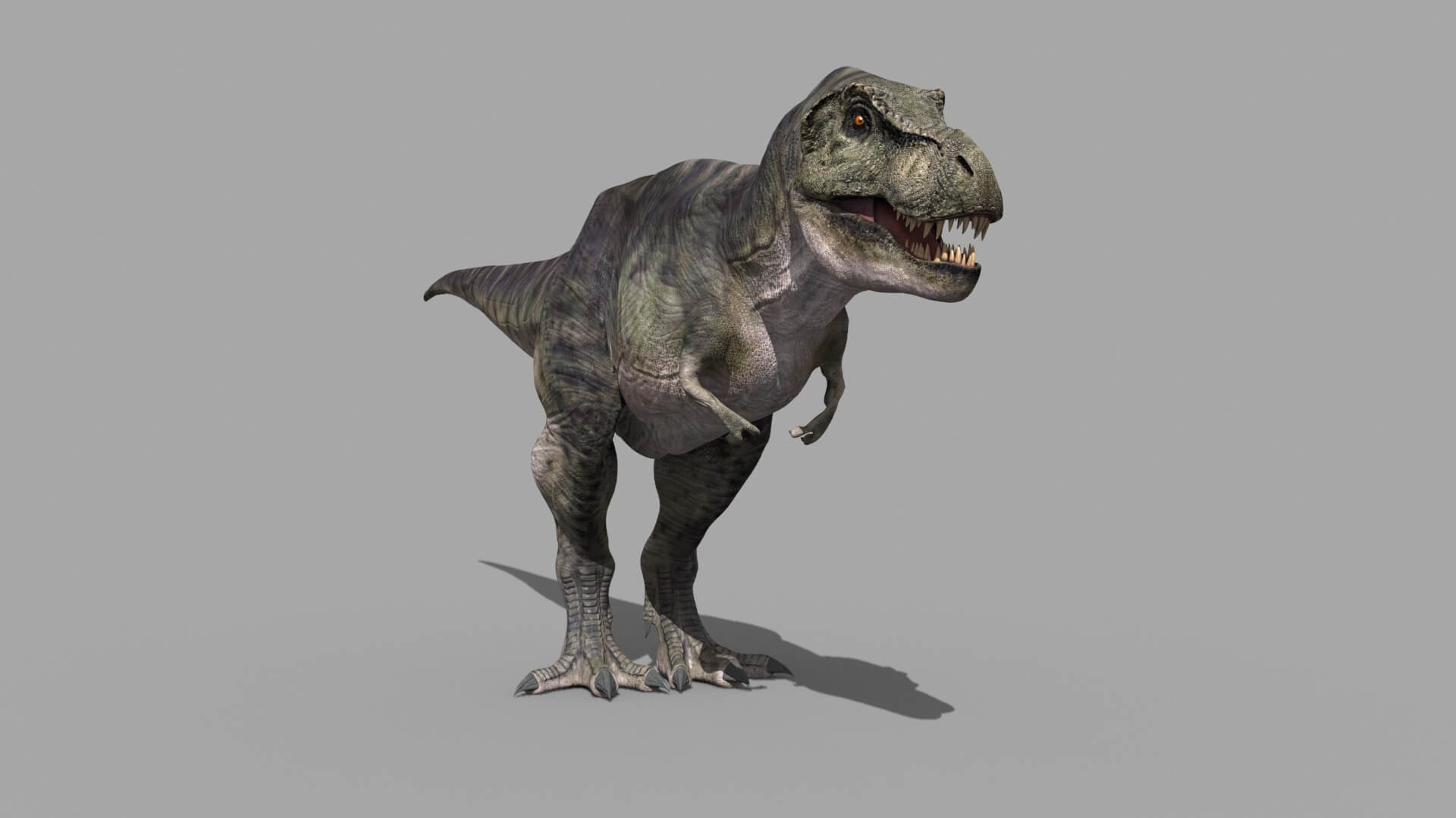 Accurate T Rex 8K - Fully Animated 3D Model by Virtual creator