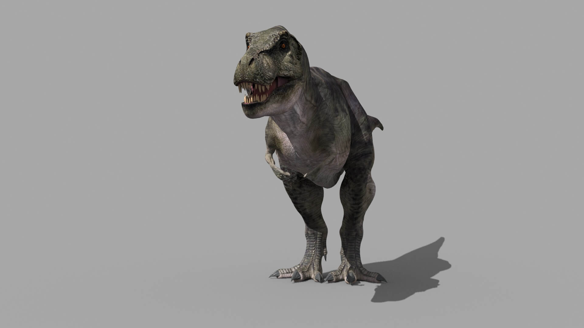 Accurate T Rex 8K - Fully Animated 3D Model by Virtual creator