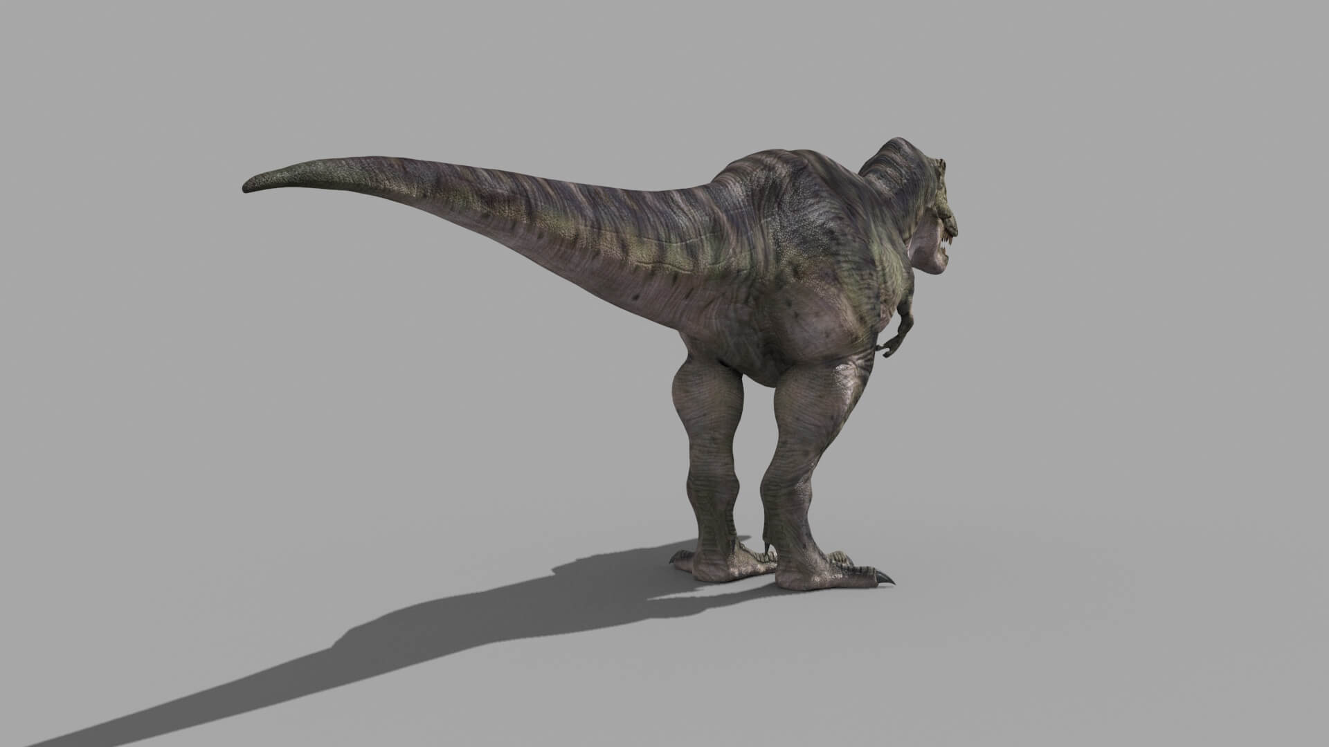 Accurate T Rex 8K - Fully Animated 3D Model by Virtual creator