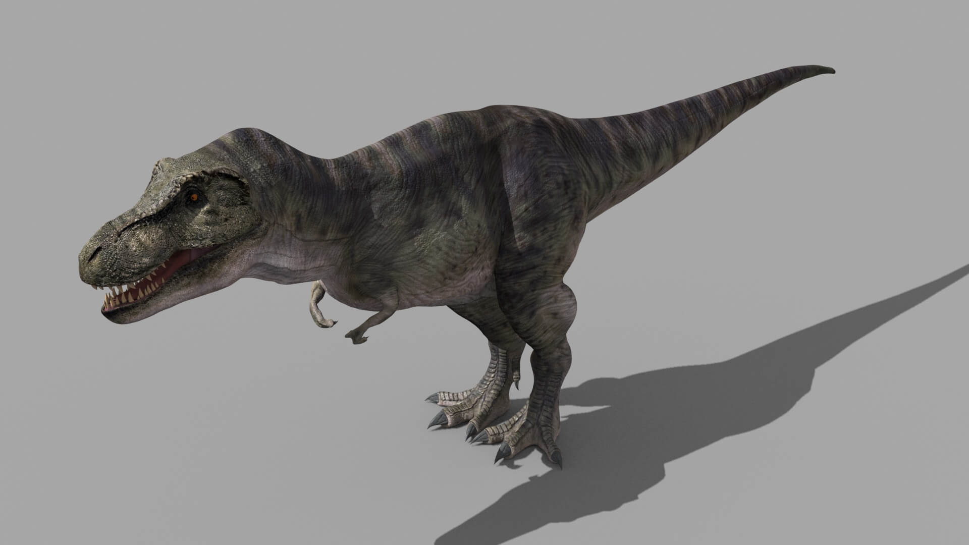 Accurate T Rex 8K - Fully Animated 3D Model by Virtual creator