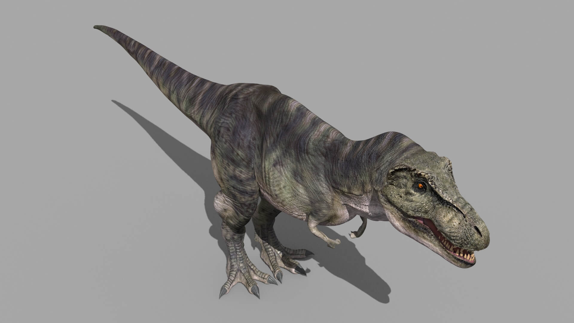 Accurate T Rex 8K - Fully Animated 3D Model by Virtual creator