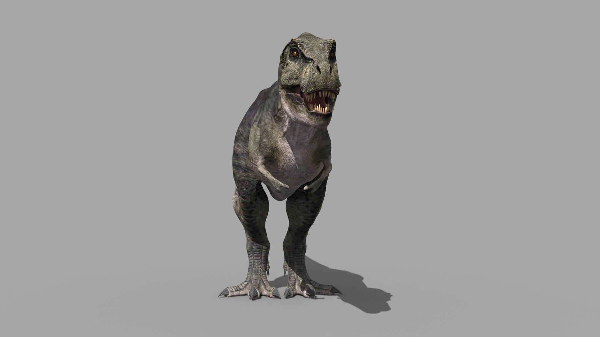 Accurate T Rex 8K - Fully Animated 3D Model by Virtual creator