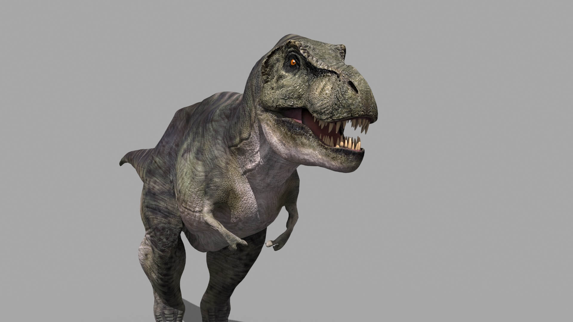 Accurate T Rex 8K - Fully Animated 3D Model by Virtual creator