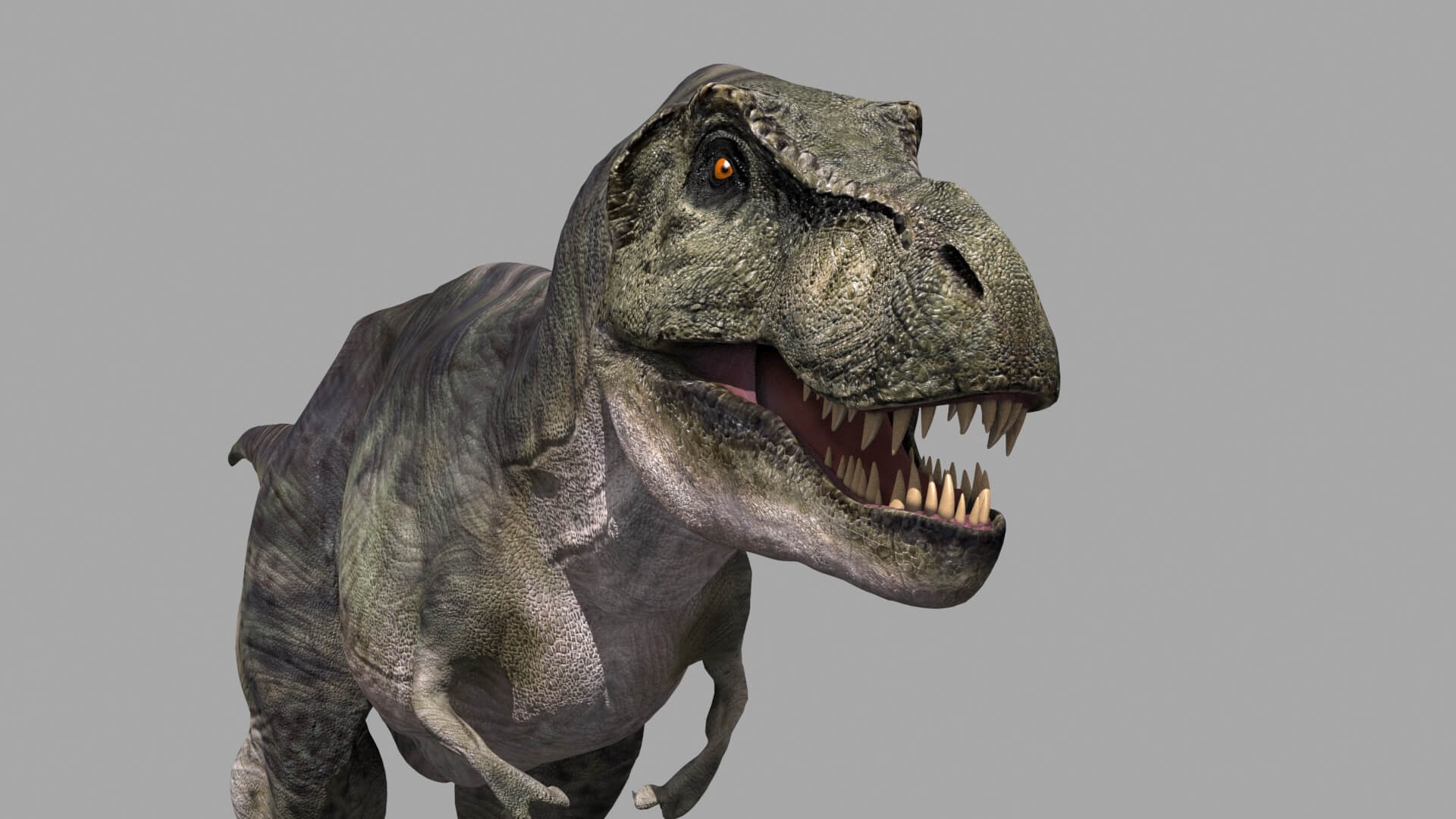 Accurate T Rex 8K - Fully Animated 3D Model by Virtual creator