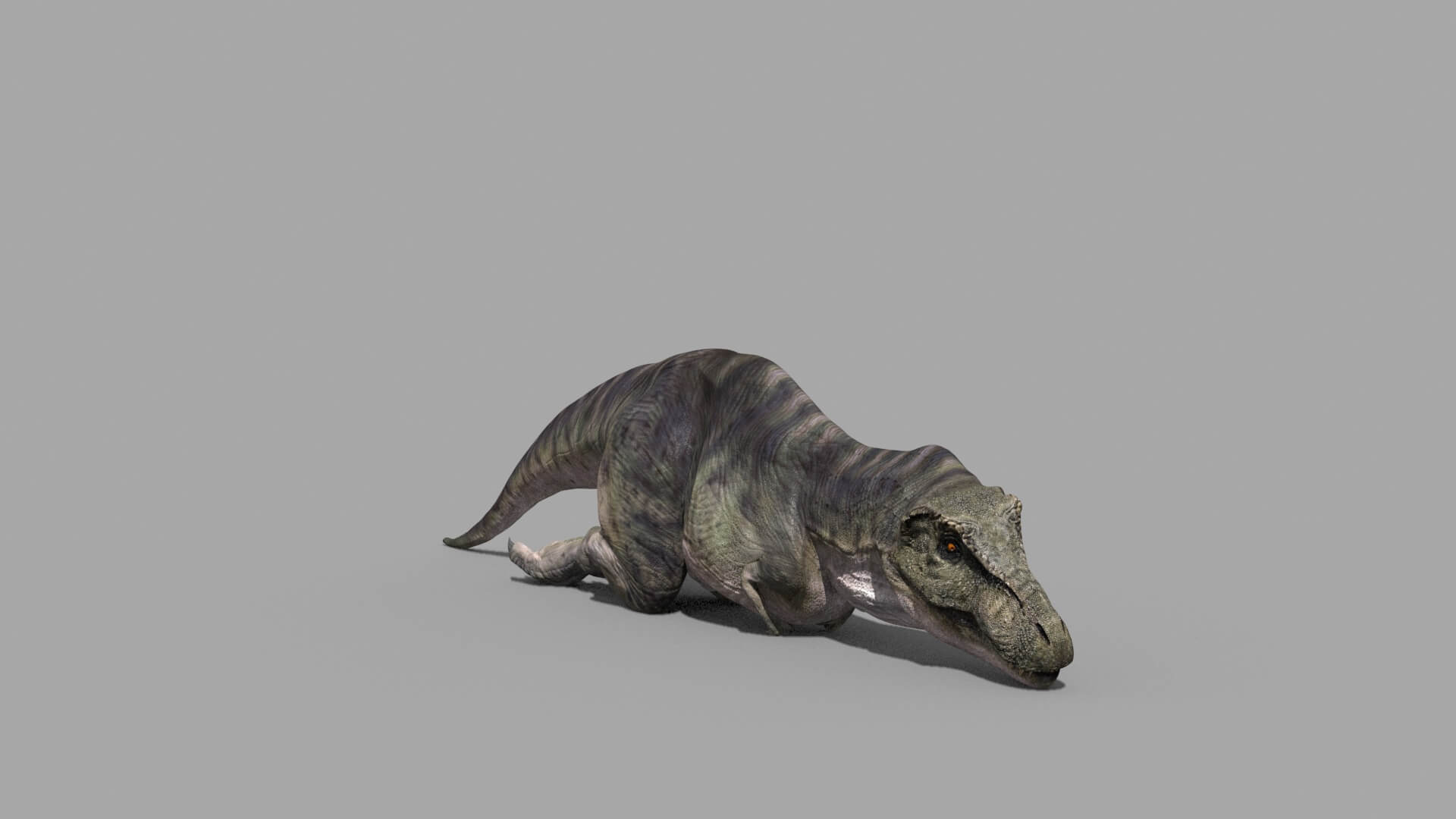 Accurate T Rex 8K - Fully Animated 3D Model by Virtual creator