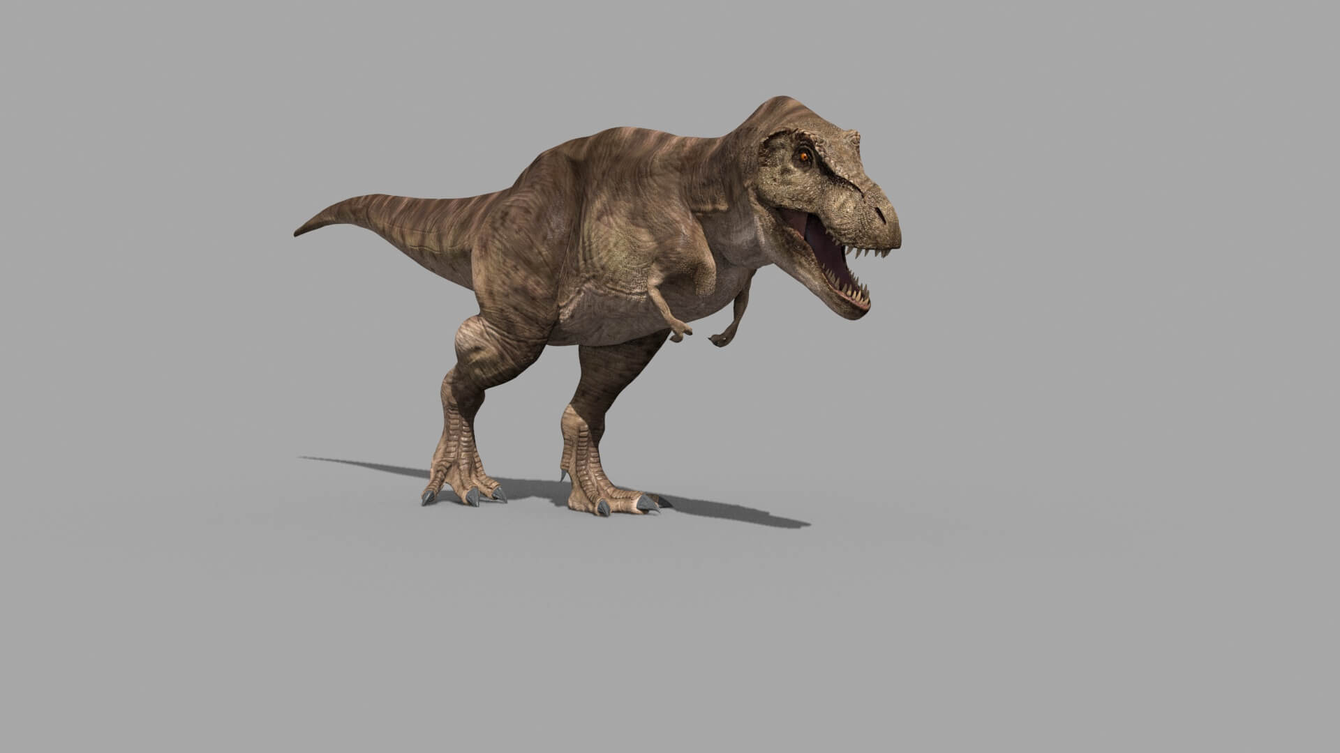 Accurate T Rex 8K - Fully Animated 3D Model by Virtual creator