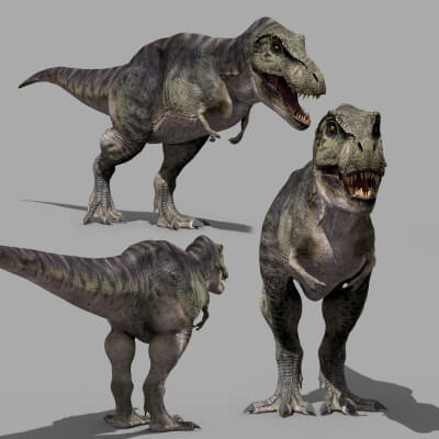 Accurate T Rex 8K - Fully Animated 3D Model by Virtual creator