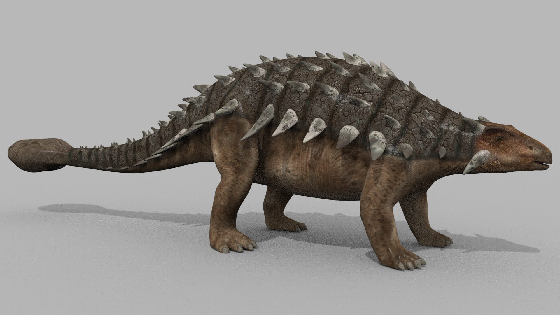 Ankylosaur 8K - Fully Animated 3D Model by Virtual creator